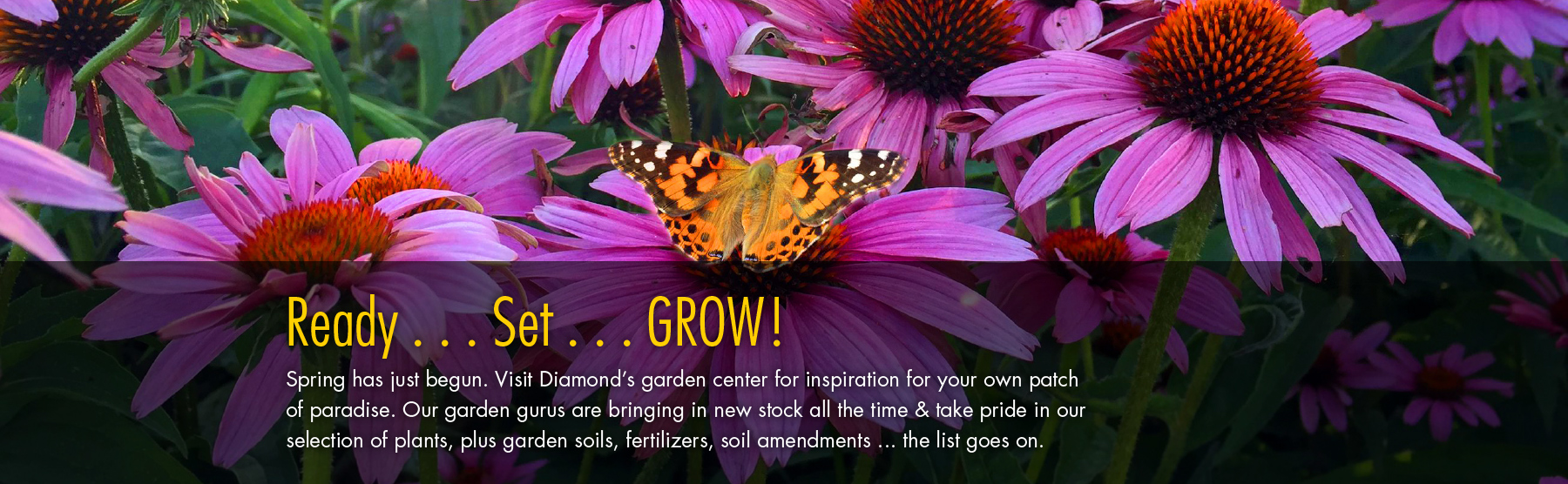 Home | Diamond Home Improvement